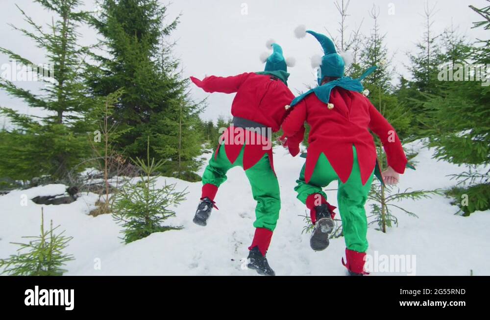 Forest of elves Stock Videos & Footage - HD and 4K Video Clips - Alamy