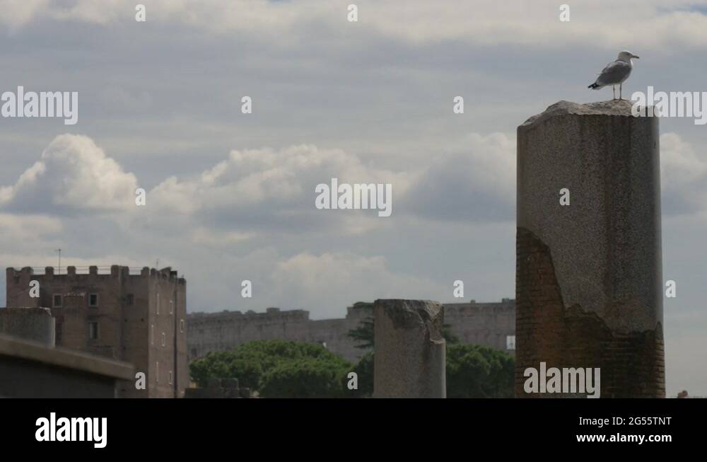 Ruined column Stock Videos & Footage - HD and 4K Video Clips - Alamy