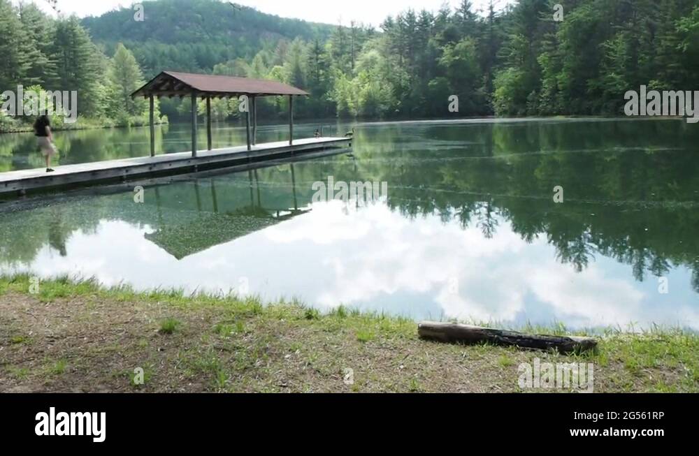 Man jumping dock Stock Videos & Footage - HD and 4K Video Clips - Alamy