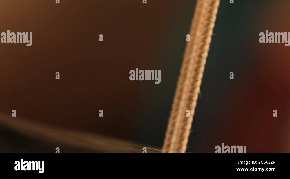 Korean female musician playing the Haegeum, Korean traditional string ...