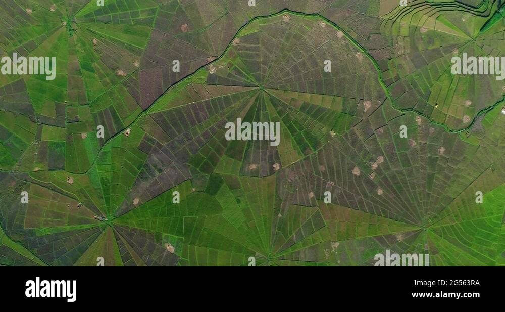 Spider village Stock Videos & Footage - HD and 4K Video Clips - Alamy