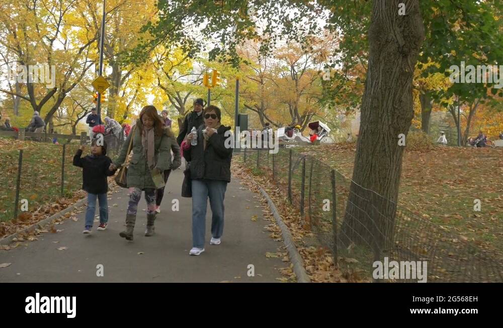 Dead people walking Stock Videos & Footage - HD and 4K Video Clips - Alamy
