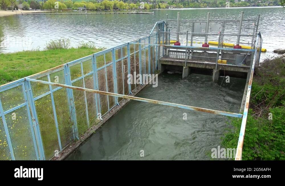 High outflow Stock Videos & Footage - HD and 4K Video Clips - Alamy