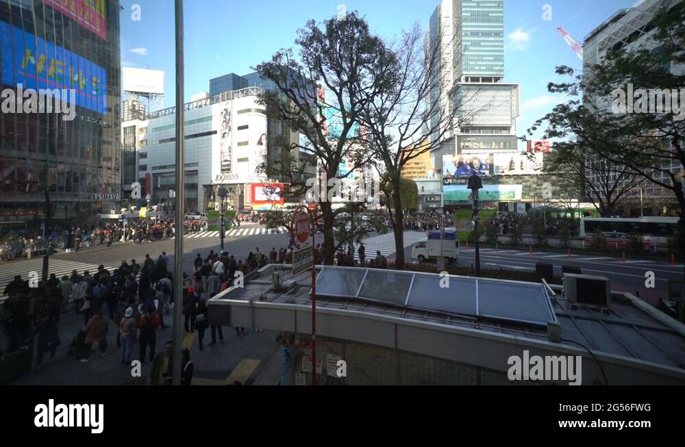 Shibuya Crossing, Tokyo, the busiest road intersection in the world ...