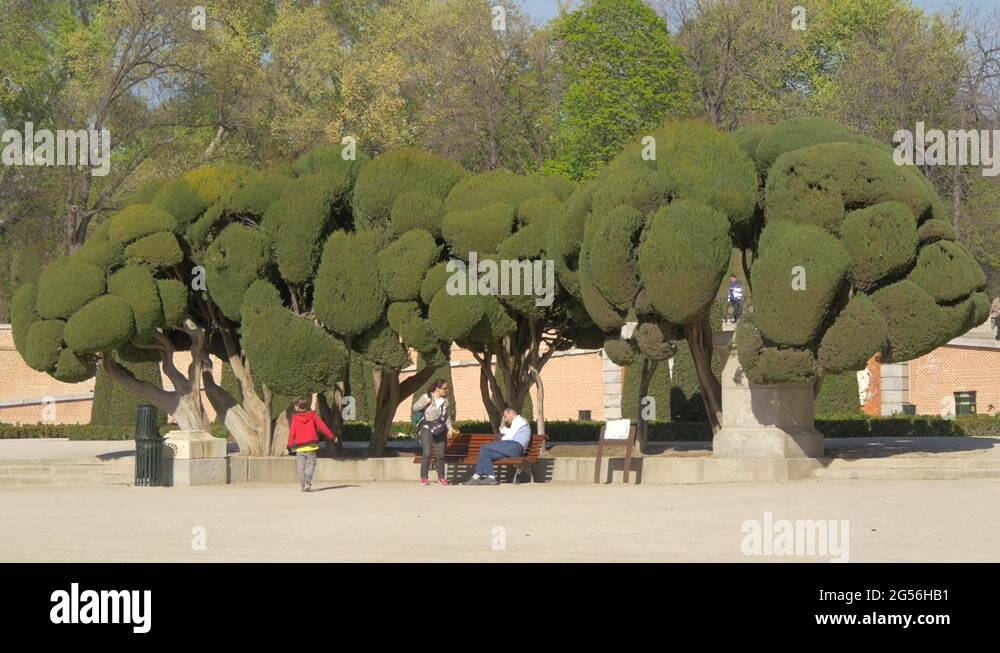 People relaxing under trees Stock Videos & Footage - HD and 4K Video ...