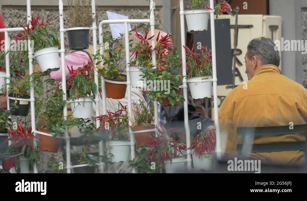 Structure of pots Stock Videos & Footage - HD and 4K Video Clips - Alamy