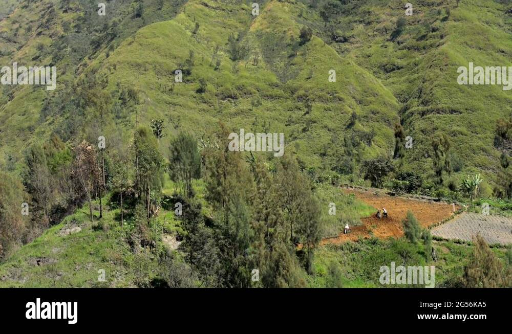 Poor farm workers Stock Videos & Footage - HD and 4K Video Clips - Alamy