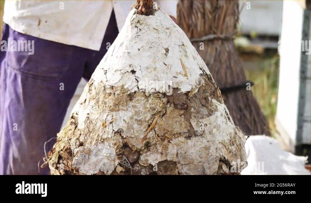 Beehive shaped cone Stock Videos & Footage - HD and 4K Video Clips - Alamy