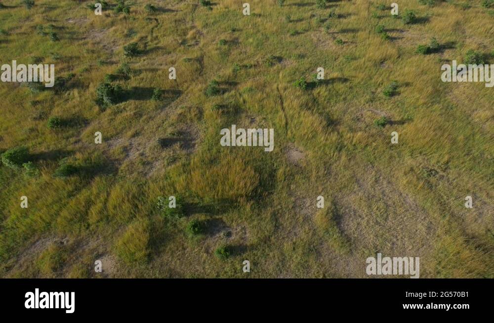 Green plains Stock Videos & Footage - HD and 4K Video Clips - Alamy