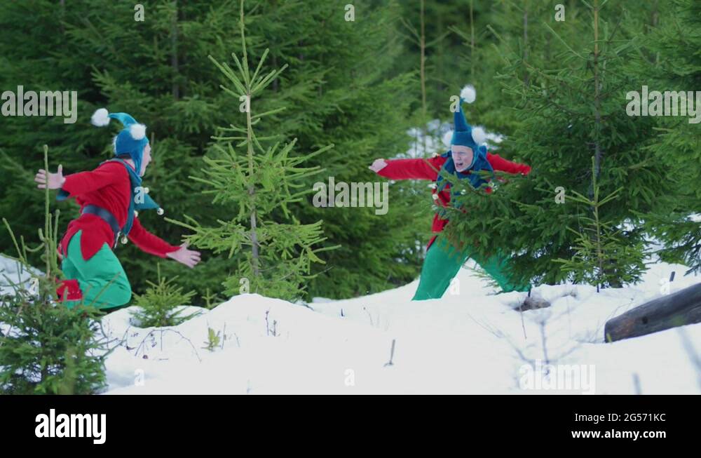 Having fun in the woods Stock Videos & Footage - HD and 4K Video Clips ...