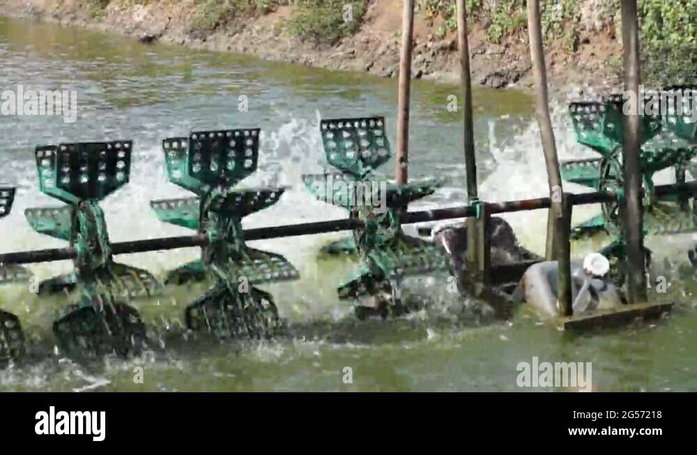 Natural aerator Stock Videos & Footage - HD and 4K Video Clips - Alamy