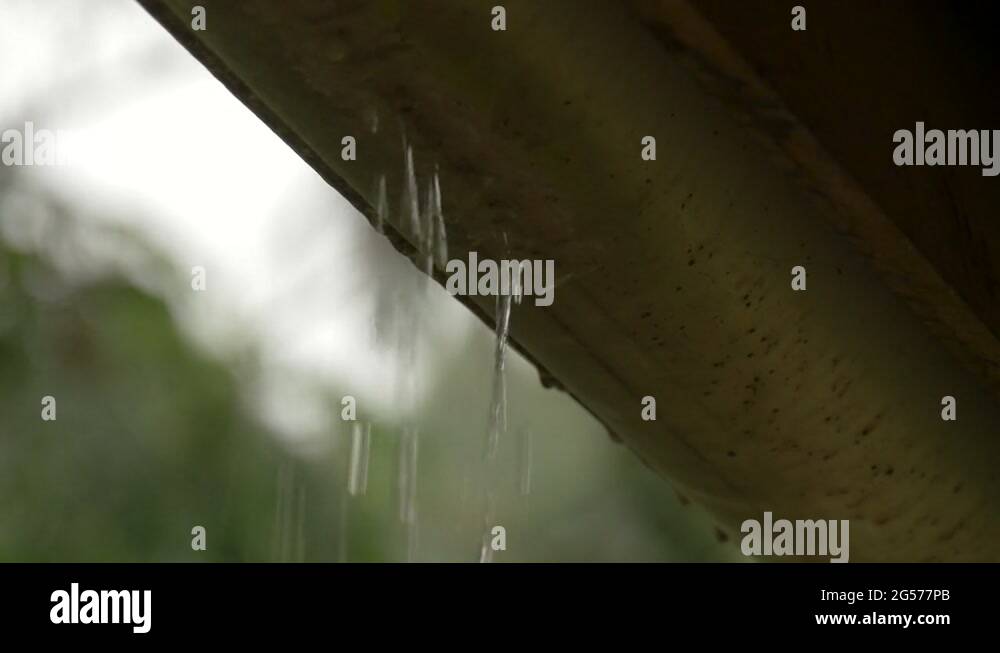 Eave Stock Videos & Footage - HD and 4K Video Clips - Alamy