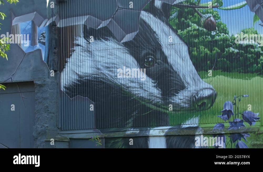 Animal graffiti Stock Videos & Footage - HD and 4K Video Clips - Alamy