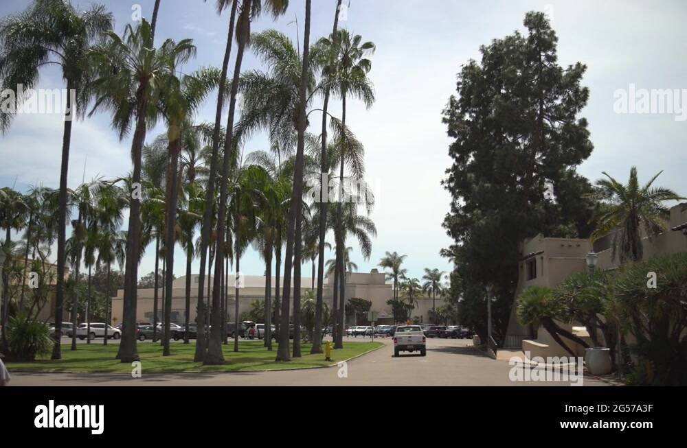 Balboa trees Stock Videos & Footage - HD and 4K Video Clips - Alamy