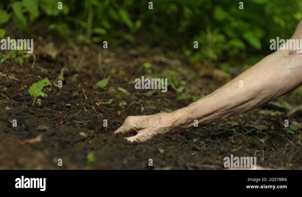 Hand digging Stock Videos & Footage - HD and 4K Video Clips - Alamy