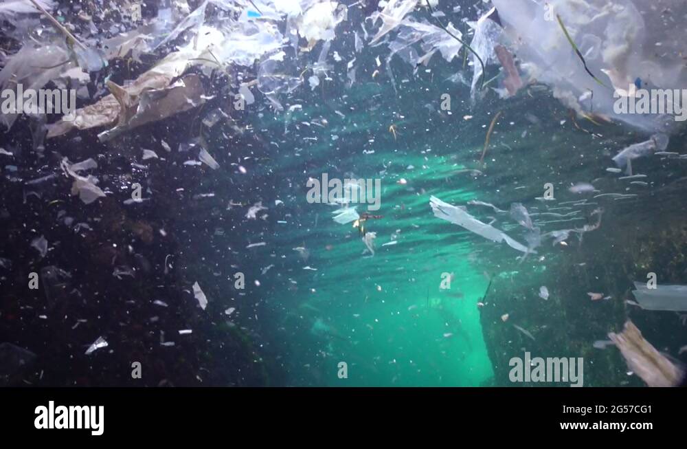 Underwater pollution marine Stock Videos & Footage - HD and 4K Video ...