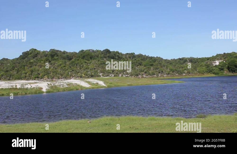 Lagoon do abaete Stock Videos & Footage - HD and 4K Video Clips - Alamy