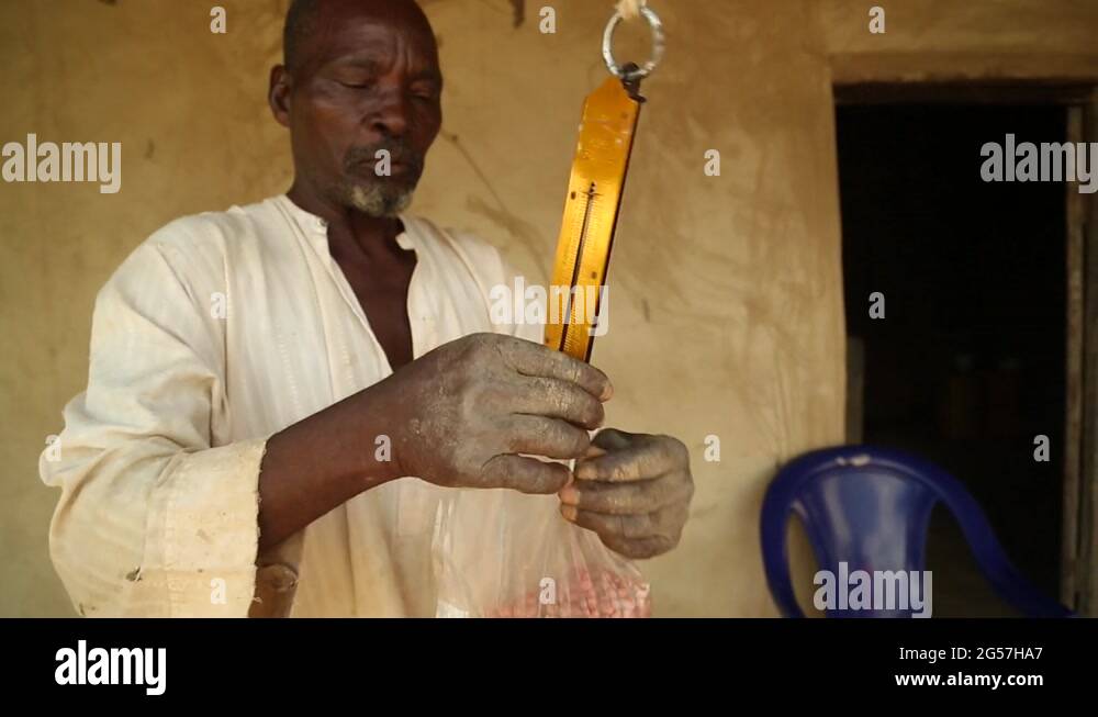 Groundnut crop Stock Videos & Footage - HD and 4K Video Clips - Alamy