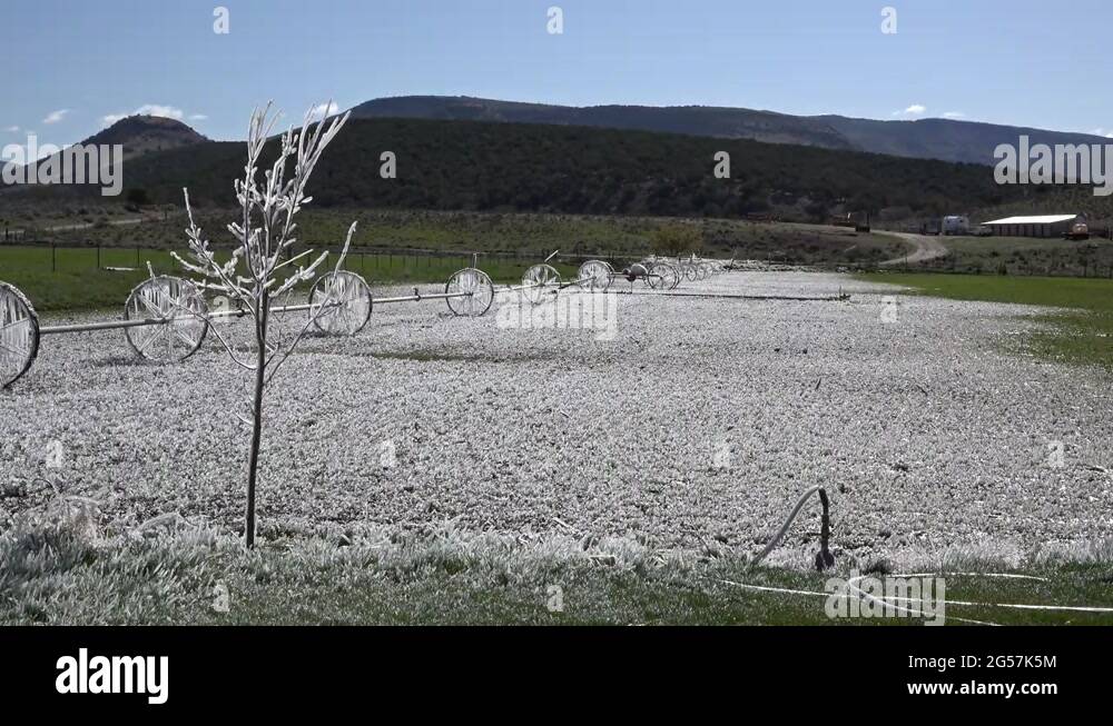 Farm irrigation frozen ice on sprinkler and field 4K 021 Stock Video ...
