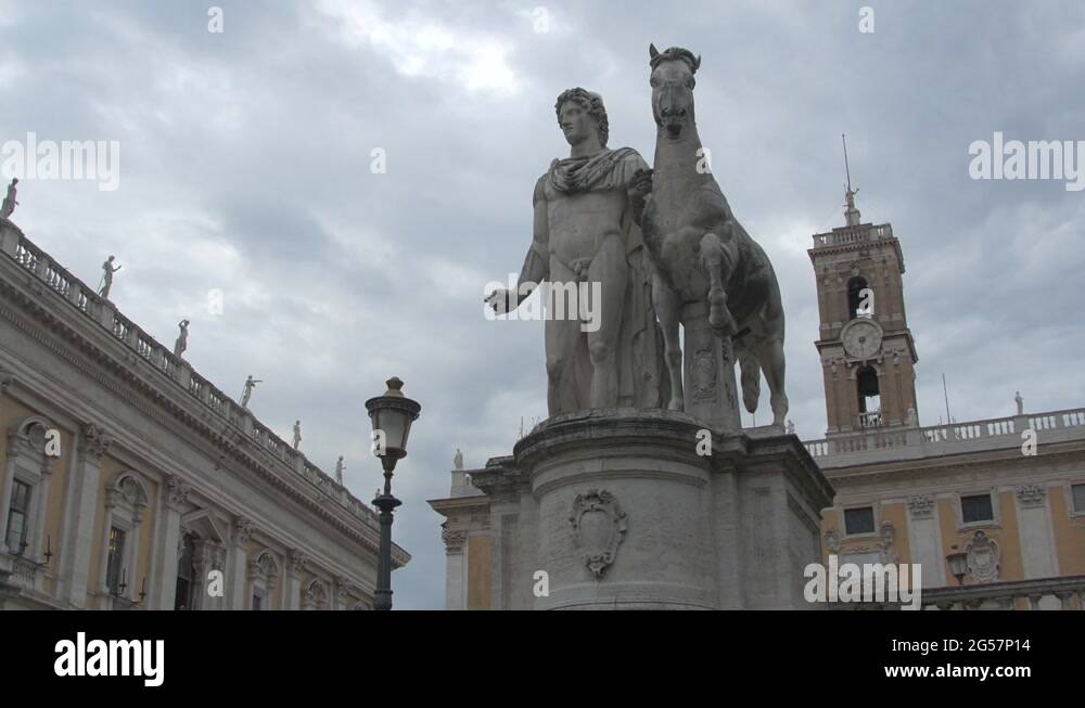 Pollux Stock Videos & Footage - HD and 4K Video Clips - Alamy