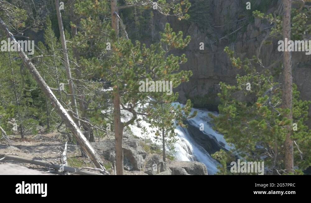 Pine trees waterfall Stock Videos & Footage - HD and 4K Video Clips - Alamy