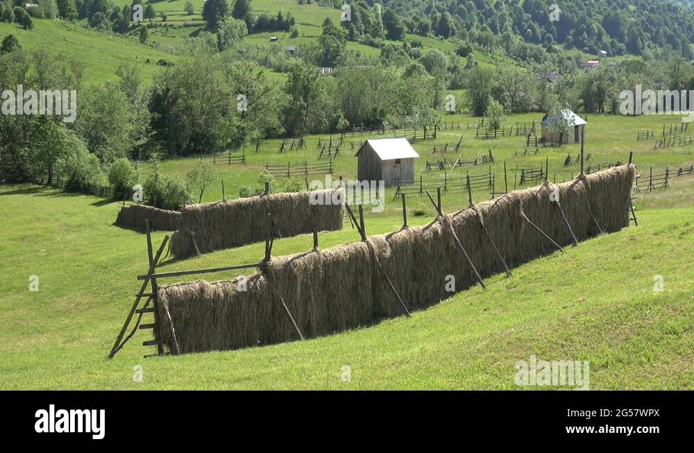 Dry farming method agriculture Stock Videos & Footage - HD and 4K Video ...
