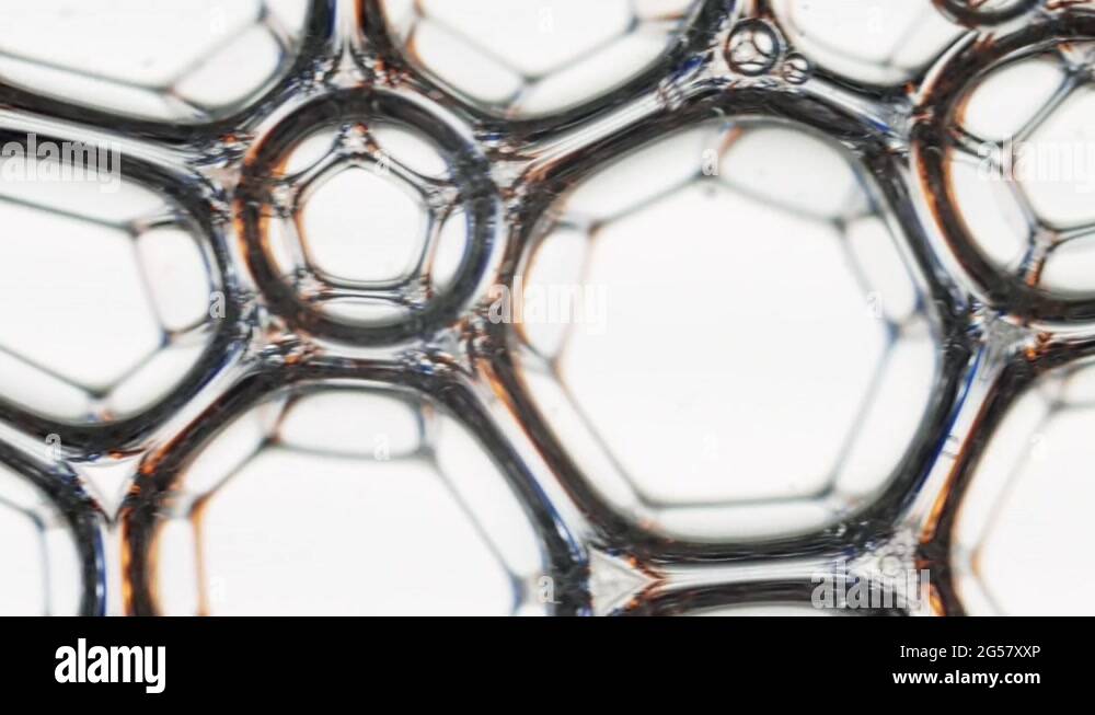 Octagon soap Stock Videos & Footage - HD and 4K Video Clips - Alamy