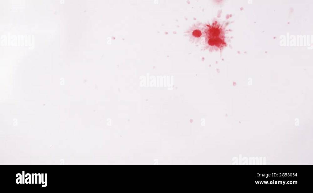 Blood spatter paper Stock Videos & Footage - HD and 4K Video Clips - Alamy