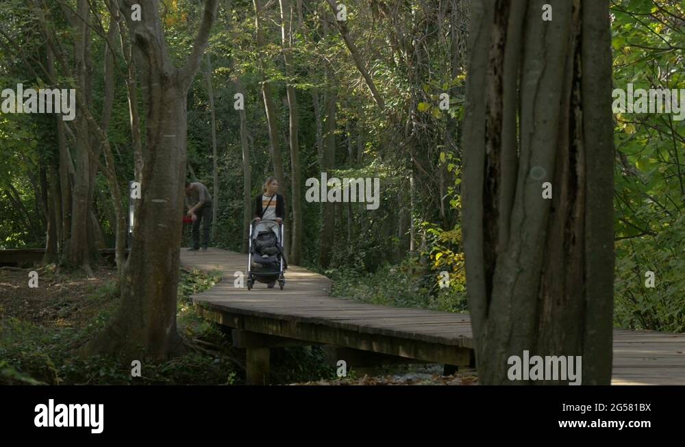 Mother baby stroller Stock Videos & Footage - HD and 4K Video Clips - Alamy