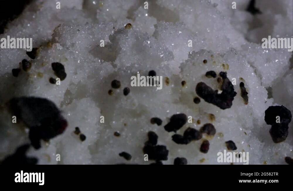 Deep sea sugar and salt Stock Videos & Footage - HD and 4K Video Clips ...