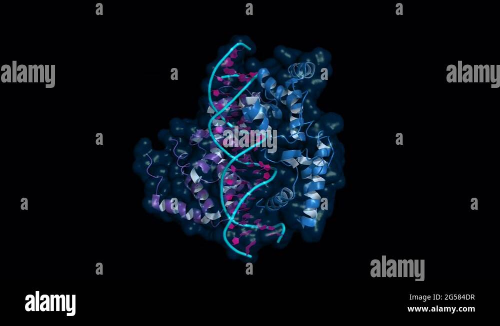 Transcription Stock Videos & Footage - HD and 4K Video Clips - Alamy