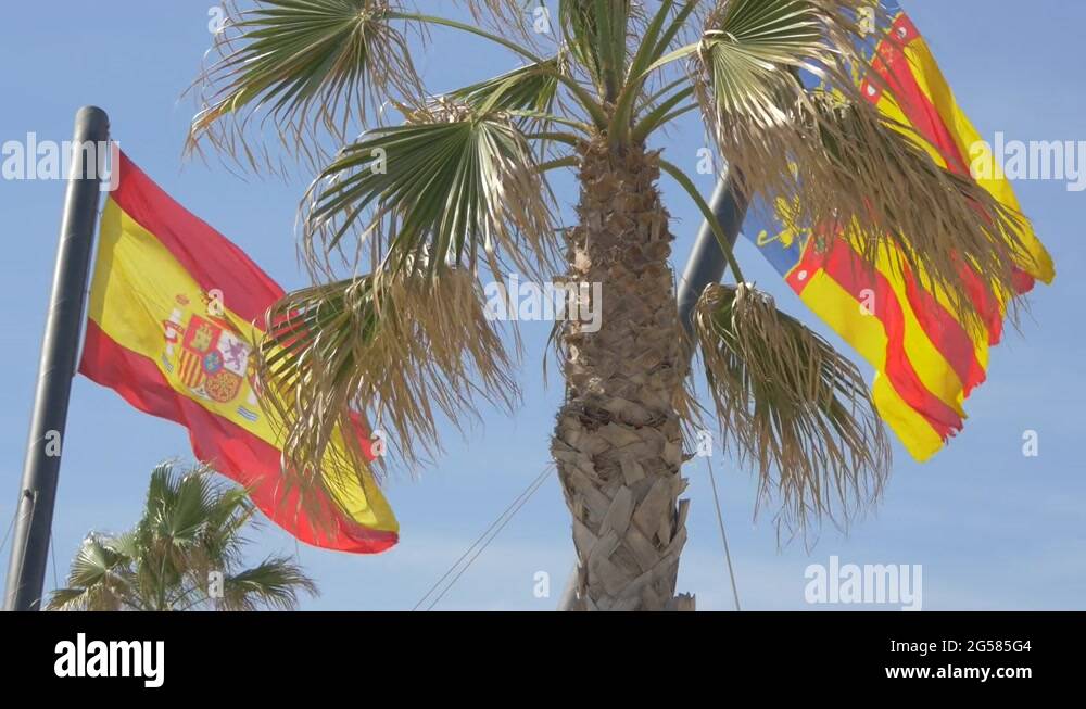 Palm tree with flags Stock Videos & Footage - HD and 4K Video Clips - Alamy