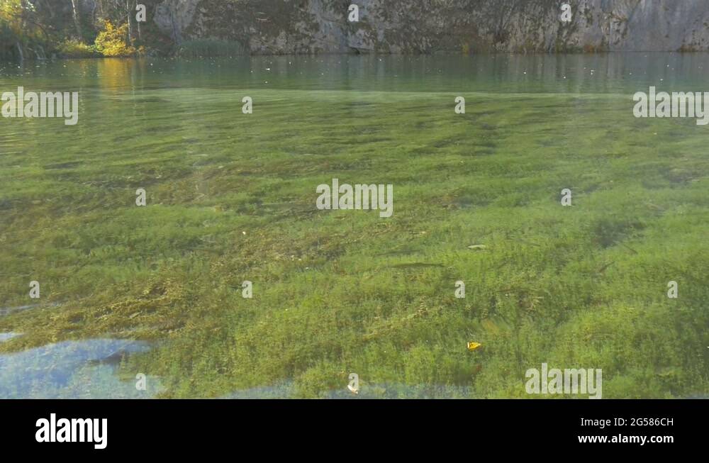 Fish lake park Stock Videos & Footage - HD and 4K Video Clips - Alamy