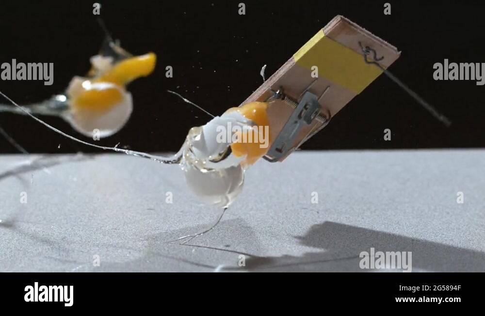 Egg frames Stock Videos & Footage - HD and 4K Video Clips - Alamy