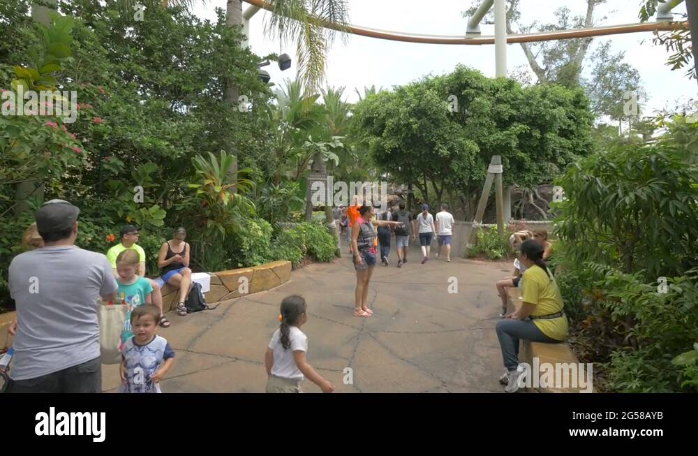 Islands of adventure jurassic Stock Videos & Footage - HD and 4K Video ...