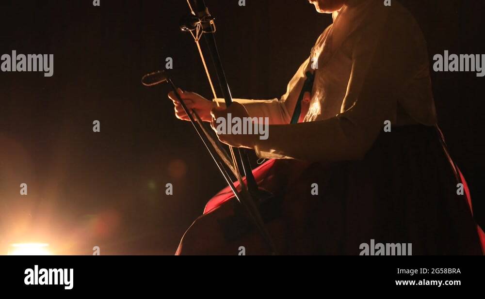 Korean female musician playing the Haegeum, Korean traditional string ...