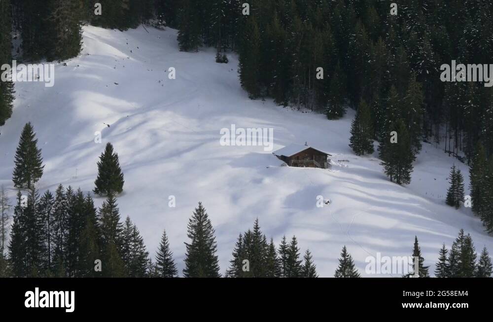 Opening in forest Stock Videos & Footage - HD and 4K Video Clips - Alamy