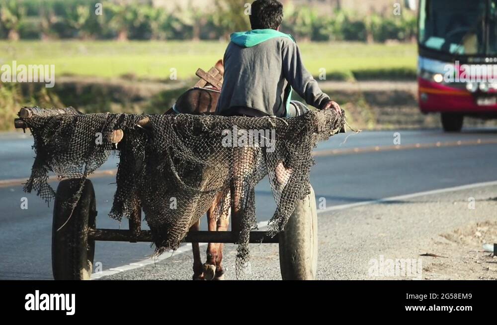 Car mule Stock Videos & Footage - HD and 4K Video Clips - Alamy