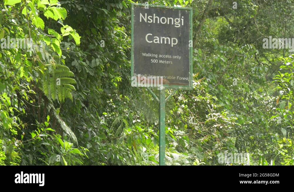 Camp sign Stock Videos & Footage - HD and 4K Video Clips - Alamy