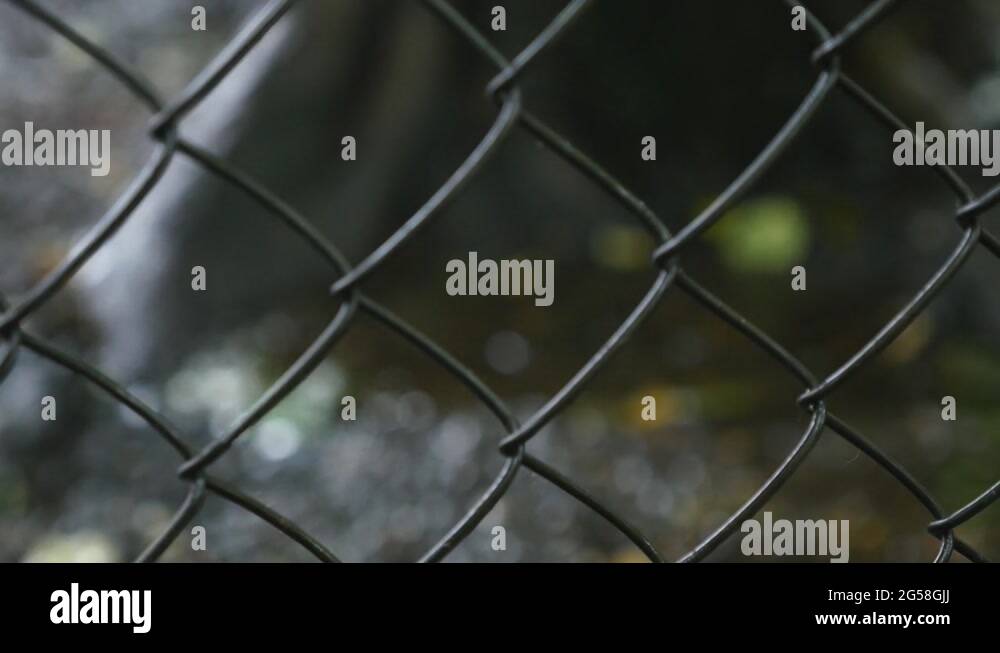 Interwoven fence Stock Videos & Footage - HD and 4K Video Clips - Alamy
