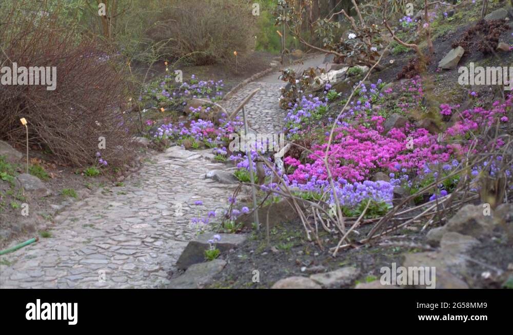 Cobble steps Stock Videos & Footage - HD and 4K Video Clips - Alamy