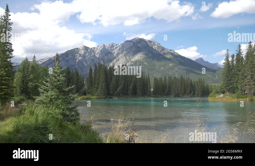 Banff national park trees mountain Stock Videos & Footage - HD and 4K ...