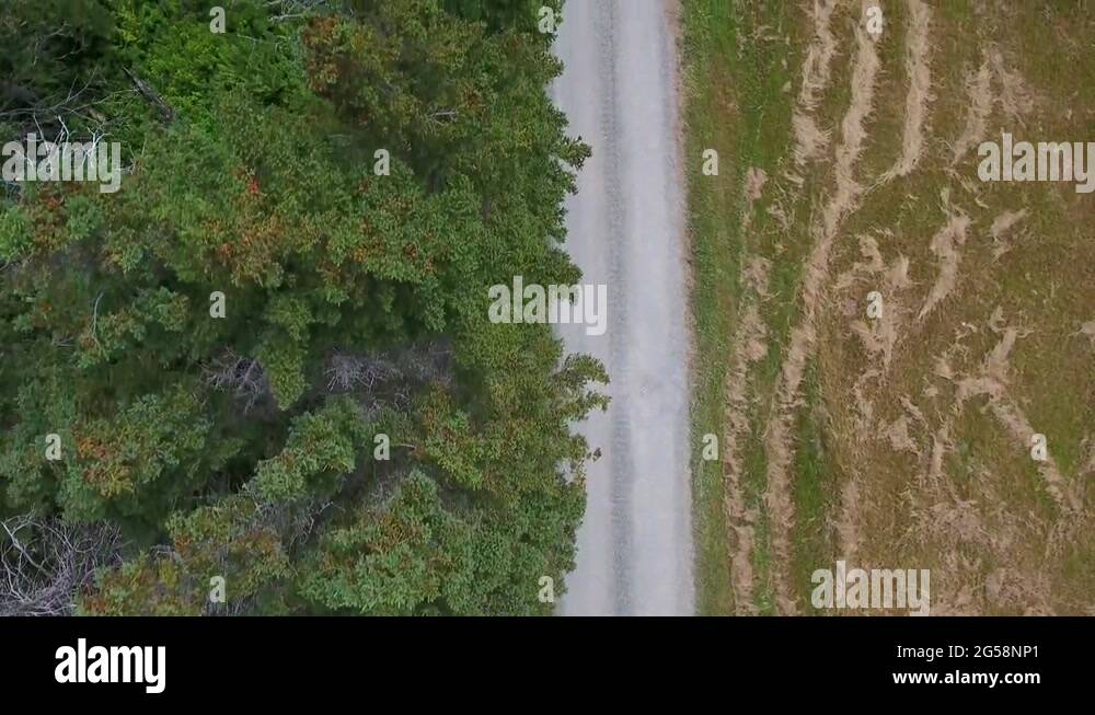 Forest cliff trees pine green road Stock Videos & Footage - HD and 4K ...