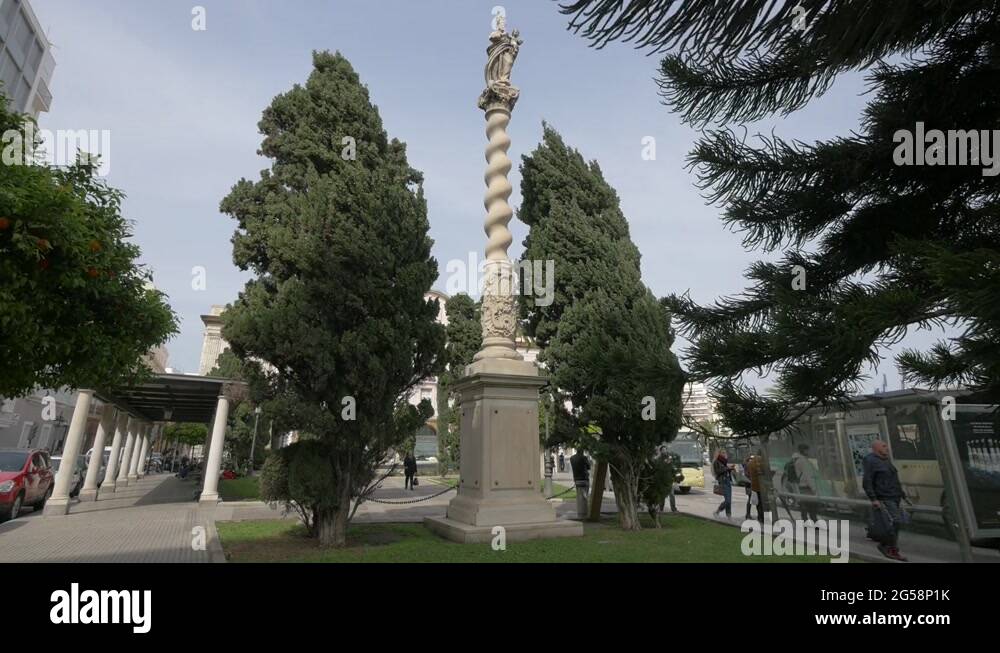 A colonnade of trees Stock Videos & Footage - HD and 4K Video Clips - Alamy