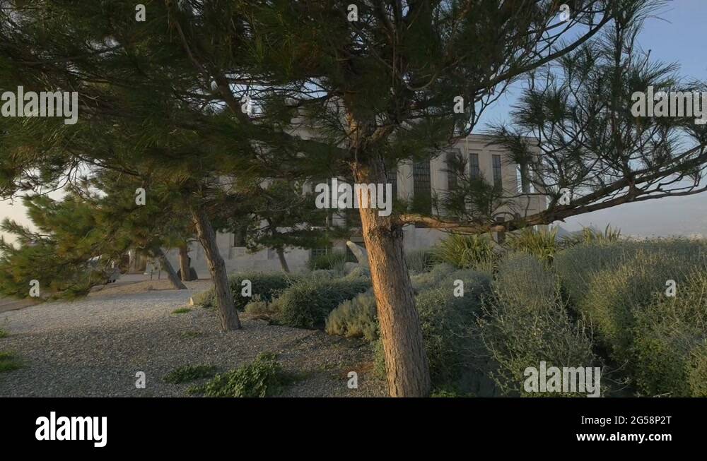 Maritime tree Stock Videos & Footage - HD and 4K Video Clips - Alamy