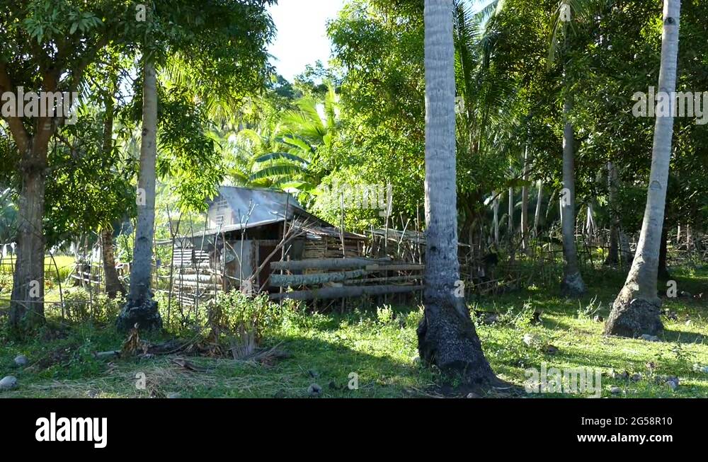 Farmers house Stock Videos & Footage - HD and 4K Video Clips - Alamy