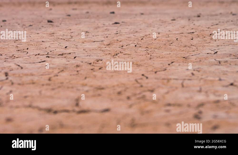 Dry cracked desert Stock Videos & Footage - HD and 4K Video Clips - Alamy