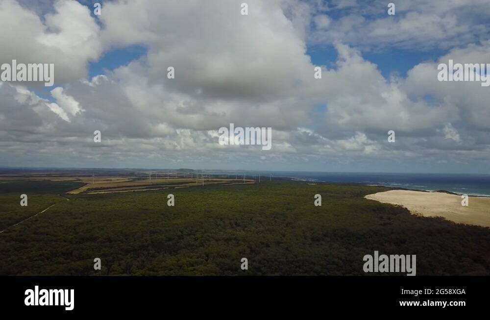 Tasmanian ecosystem Stock Videos & Footage - HD and 4K Video Clips - Alamy