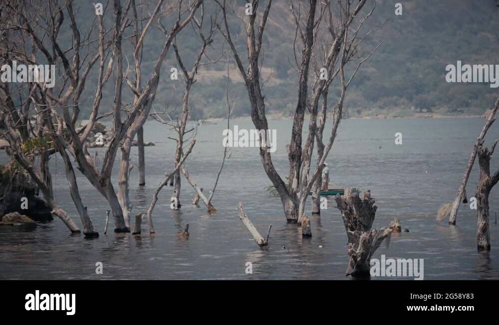 Flood disaster disaster Stock Videos & Footage - HD and 4K Video Clips ...