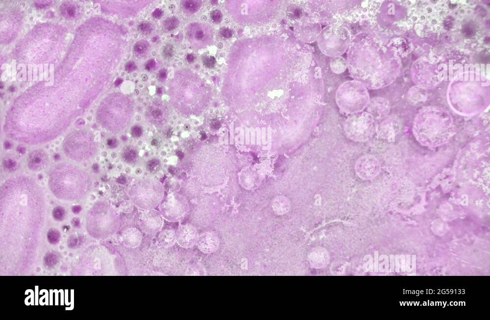 Microscopic View of Ink in Water Stock Video Footage - Alamy